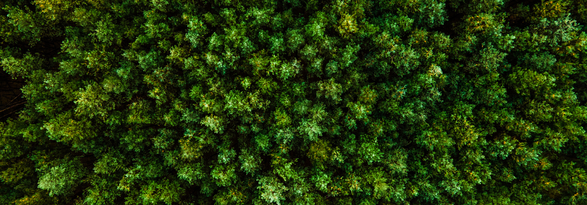 Footprint Methodology - Osmosis UK